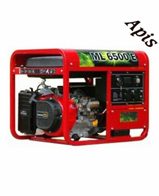Generator electric 5,5 kW - Apis-Blaj.ro